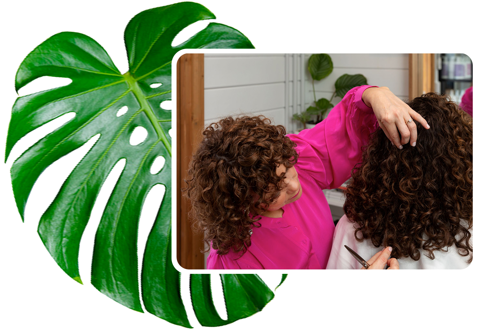 New Curl Clients NZ | The Curl Next Door